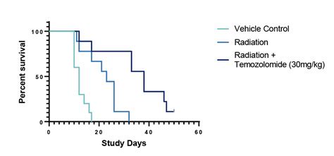 Gbm28 Gbm Model Td2 Precision Oncology