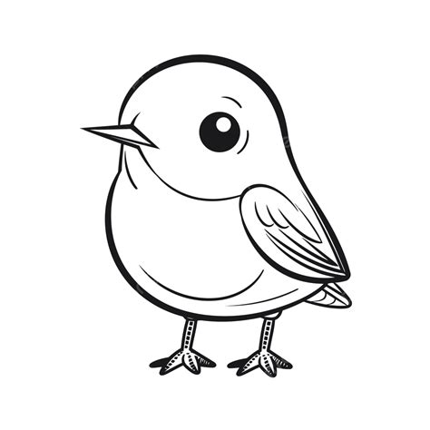 Bird Outline Coloring Pages Simple Drawing Chickadee Template Easy
