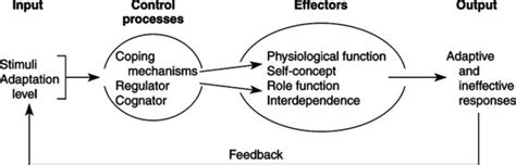 Adaptation Model Nurse Key