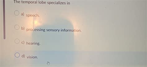 Solved The Temporal Lobe Specializes Ina ﻿speechb