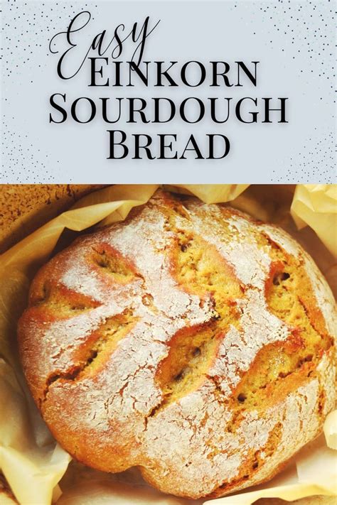 Sourdough Bread Beginners Guide Recipe How To Artofit