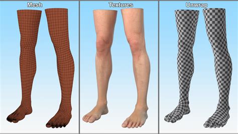 3d Realistic Human Male Legs Rigged For Maya 3d Molier International