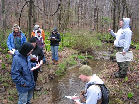 Conducting Visual Assessment6915123768o Gswa