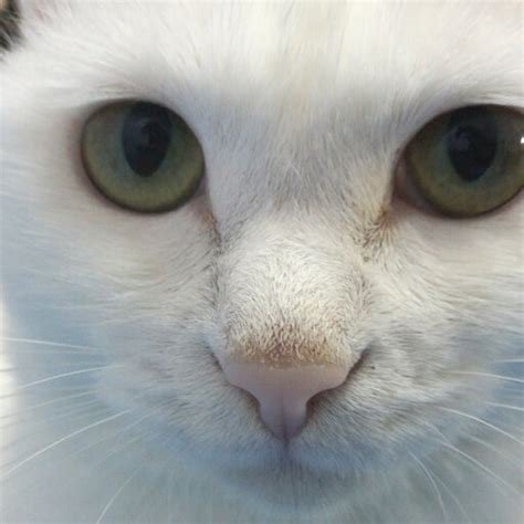 Liu Jiaming Bachelor Of Engineering Xian Jiaotong University Xian Xjtu Department Of