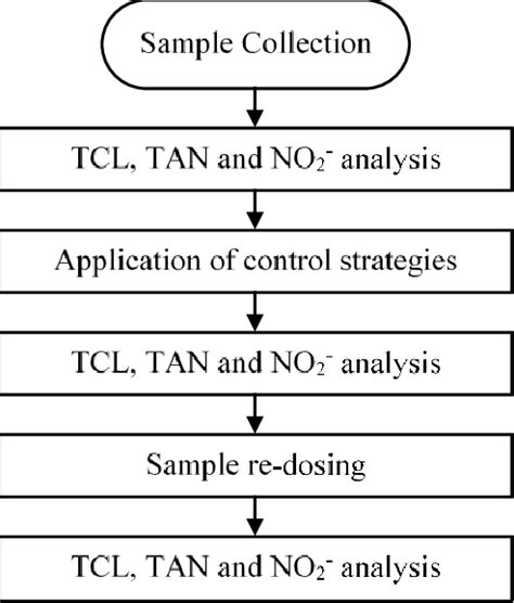 Experimental Procedure Flow Chart Download Scientific Diagram
