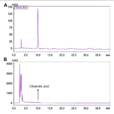 Hplc Chromatograms Of The Standard Oleanolic Acid A And Hyq Sample