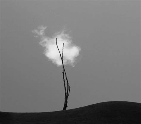 Nodeh Mostafa Photographermostafanodeh