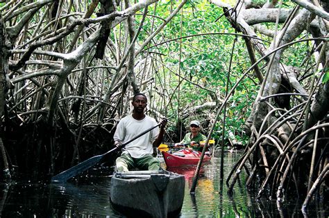 Tourisme Au Gabon Amazing Gabon