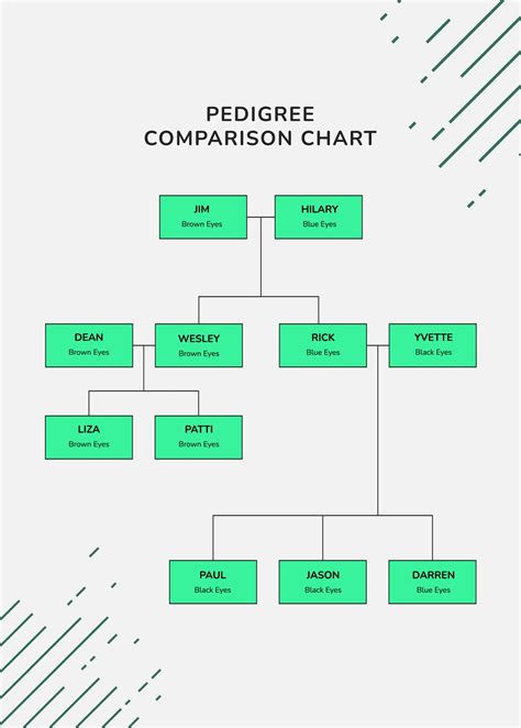 5 Generation Pedigree Chart In Illustrator Pdf Download