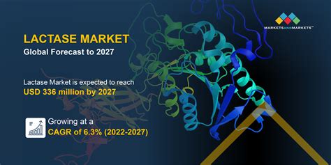 Market Research Reports