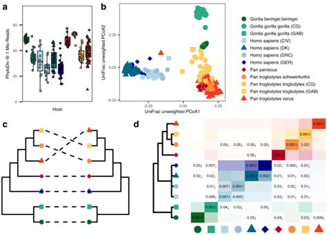 Decoding The Evolutionary Dynamics Of Hominid Gut Microbiome Microvioma