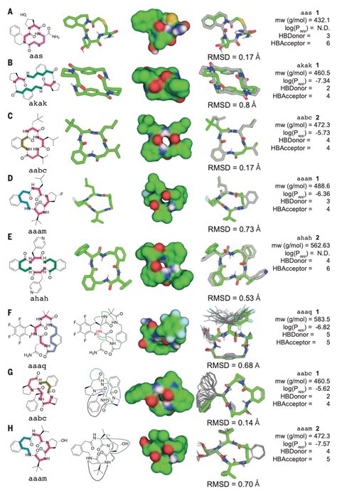Science｜david Baker团队：用计算方法发现化学结构多样的大环分子 腾讯云开发者社区 腾讯云