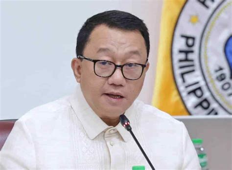 Impeachment Case Still Strong Regardless Of Poll Results Chua