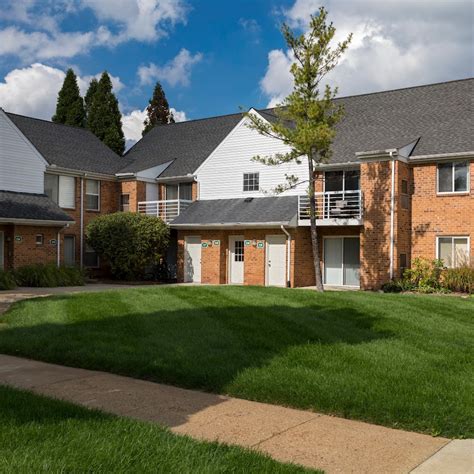 Diamond Forest Youtube