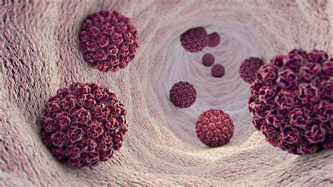 Understanding The Impact Of Hpv On The Vaginal Microbiome And Its Role