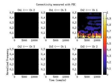 Pdc For App Ml Simulation Ap1 Show Effective Connectivity Mainly In