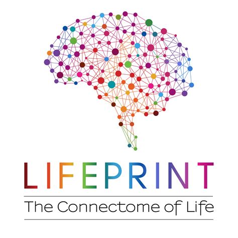 Lifeprint Coaching Wholehealthcare