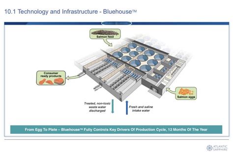 Johan Andreassen On Linkedin The Future Is To Raise Fish In Bluehouses