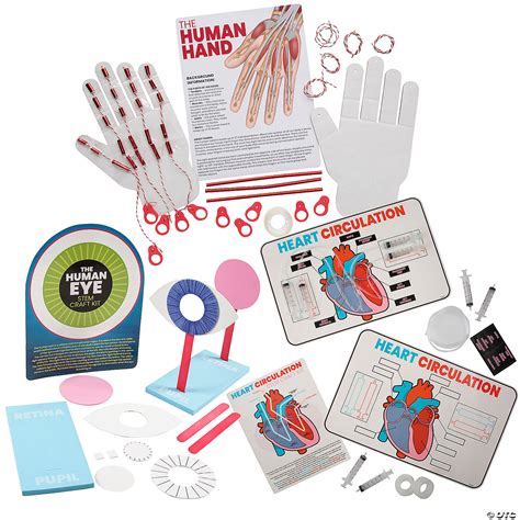 Stem Anatomy Activity Learning Challenge Craft Kit Makes 36