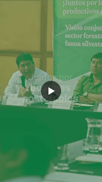 🌳🤝 ¡juntos Por Bosques Sostenibles Y Productivos El Sector Forestal Y Osinfor