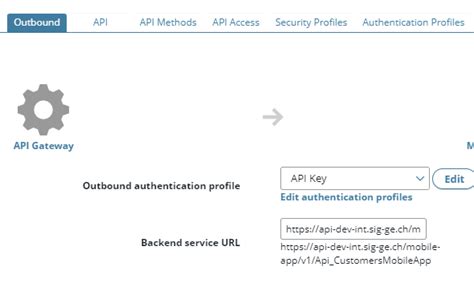 Field BackendBasePath In Api Config Json Not Used Issue 354 Axway API Management Plus Apim