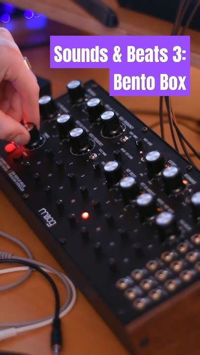 This Arp Is Straight Peacocking 🦚 Arp Sounddesign Youtube