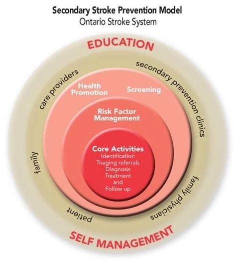 Secondary Stroke Prevention Model Secondary Stroke Prevention Model N Secondary Stroke Prevention Model Secondary Stroke Prevention Model N
