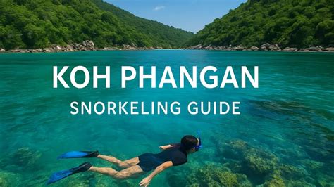Koh Phangan Snorkeling Guide 2026 Explore Hidden Gems Tbt