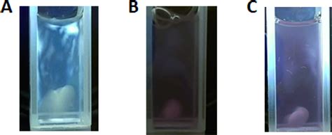 Light Birefringence Effect Of Cnc Before Htt A And 1 Aunps B And