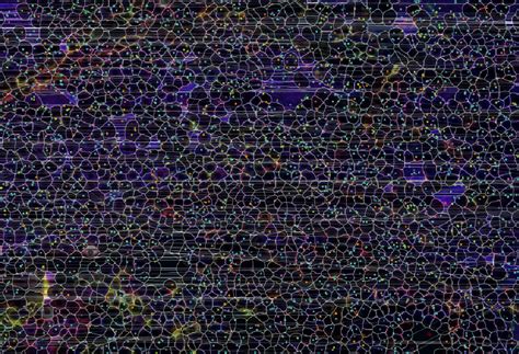 Spatinsituplotpoints Segmentation White Streaking · Issue 628 · Drieslabgiotto · Github