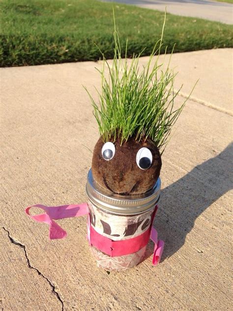 Grass Head Diy Grass Heads How To Make
