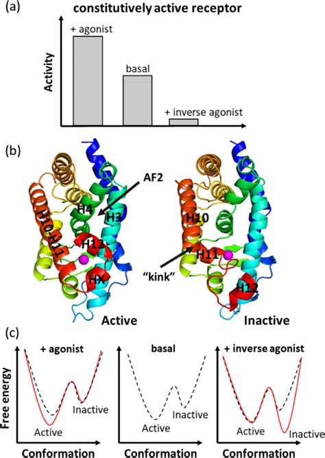 A Illustration Of The Transcriptional Activity Level Of A Download Scientific Diagram
