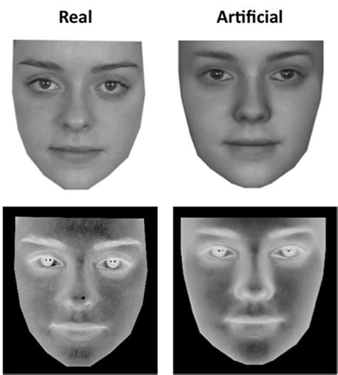 Real Or Fake Research Shows Brain Uses Multiple Clues For Facial