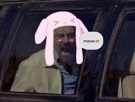Breaking Bad In 2022 Walter White Walter White Meme Breaking Bad