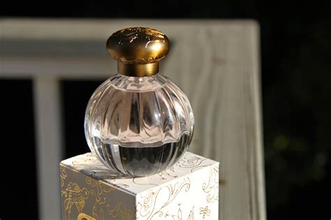 Meganscribbles Tocca Simone Eau De Parfum Review