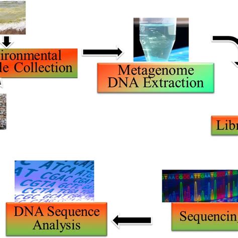 Pdf Recent Advances In Metagenomic Approaches Applications And