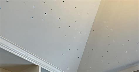 Ticky Tack On Ceiling Album On Imgur