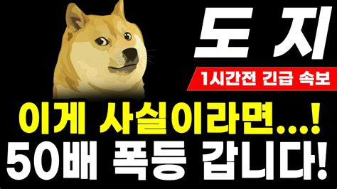 도지코인 전망 이게 사실이라면 꼭 보셔야합니다 업비트시황 코인시황 급등코인추천 도지코인대응 Youtube