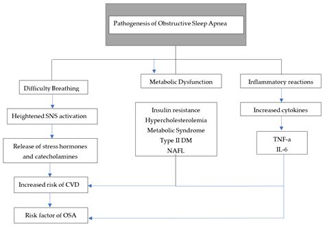 A Scoping Review Of Sleep Apnea Where Do We Stand