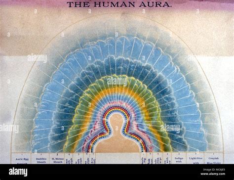 Human Aura