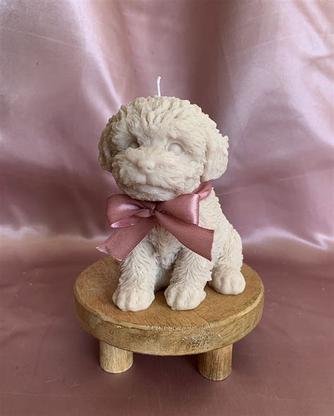 Stormi Der Cockapoo Giant Lani Home