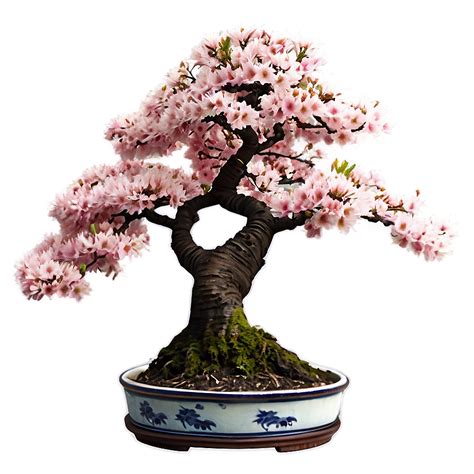 Download Cherry Tree Bonsai Png 06212024