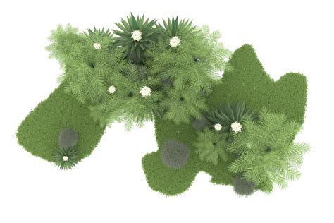 Plants Plan View Pngs For Free Download