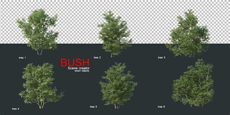 Premium Psd Various Types Of Bushes