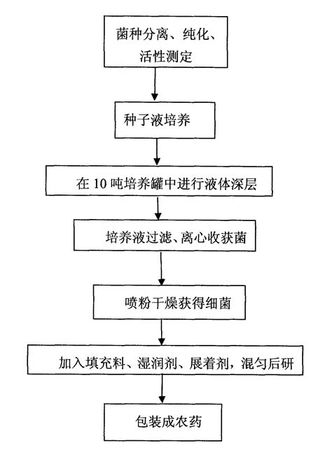 Bacterial Biological Fungicide And Preparation Method Thereof Eureka Patsnap