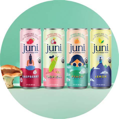 Juni Sparkling Tea Crafted With A Blend Of Adaptogens Drink Juni