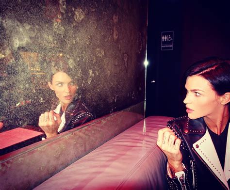 The Curious Case Of The Cockroach In The News Cycle