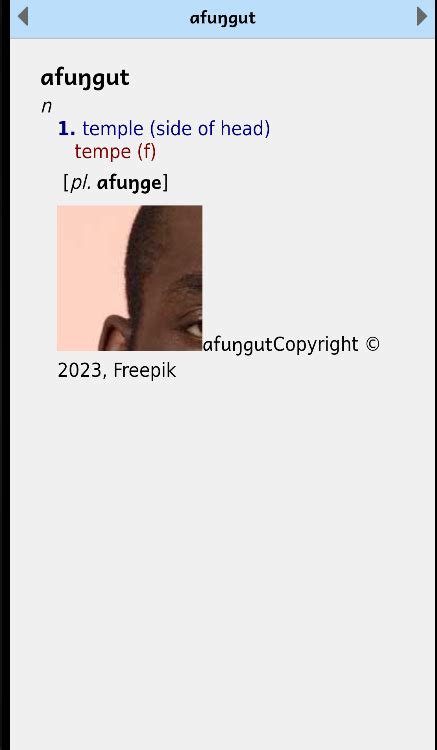 Picture And License Data Formatting Dictionary App Builder Sil