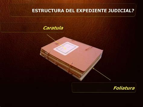 Expedientes Judiciales