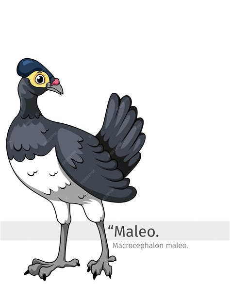 Premium Vector Maleo Cartoon Illustration